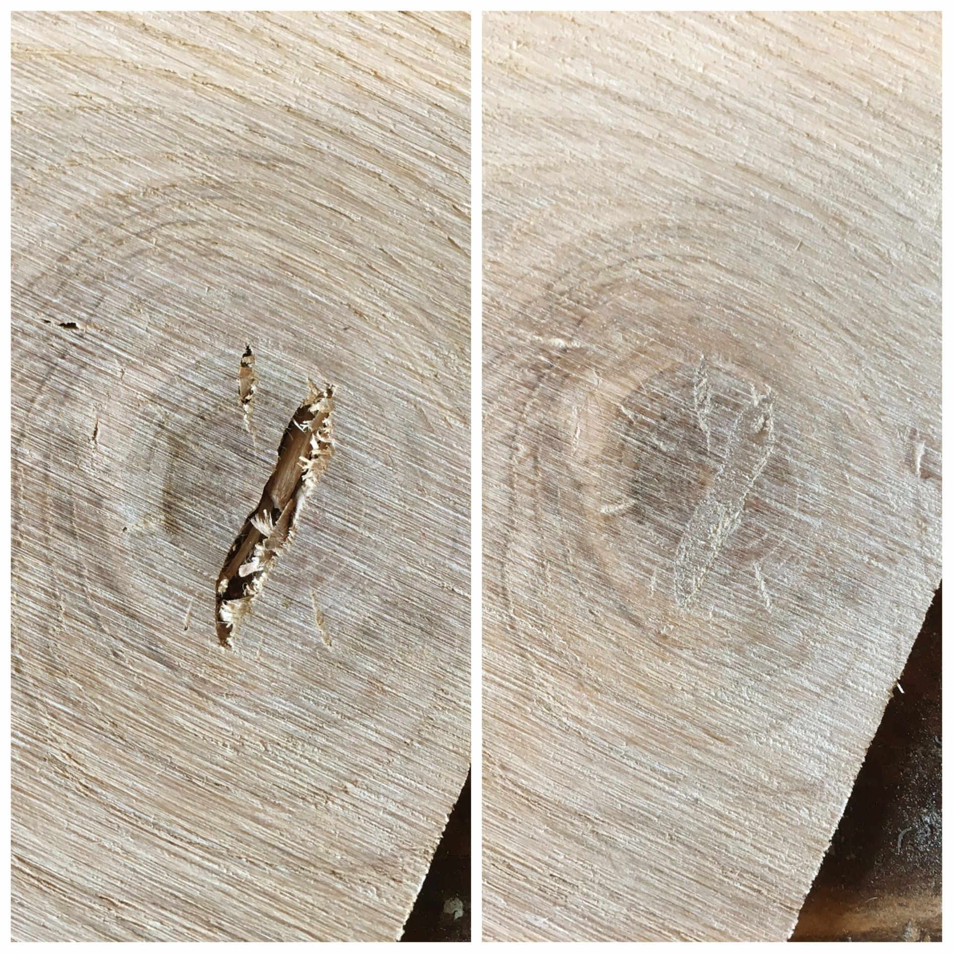 Knot Filler Basic Kit⎪Make easy wood repairs